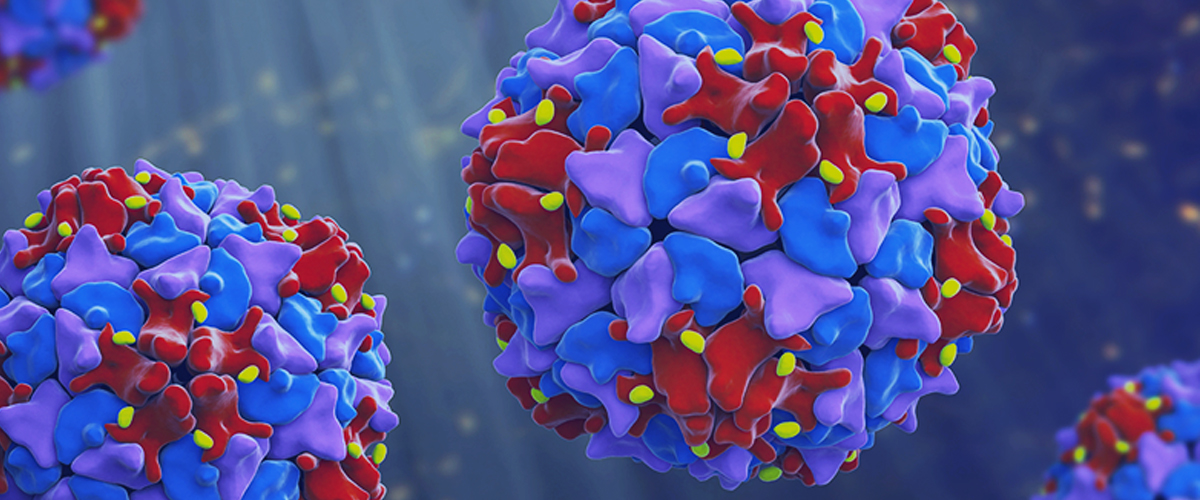 NewYork-Presbyterian