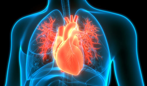 Advances in Cardiology and Heart Surgery | NewYork-Presbyterian